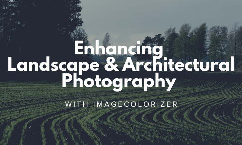 Enhancing Landscape & Architectural Photography with ImageColorizer
